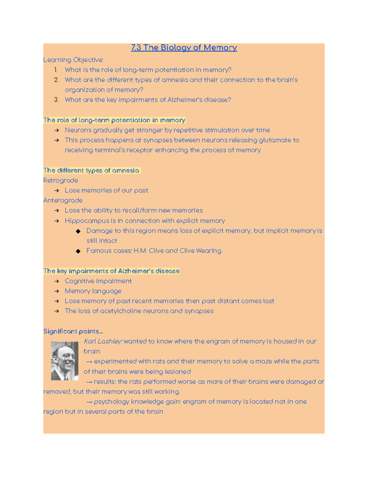 7.3 The Biology of Memory - 7 The Biology of Memory Learning Objective ...
