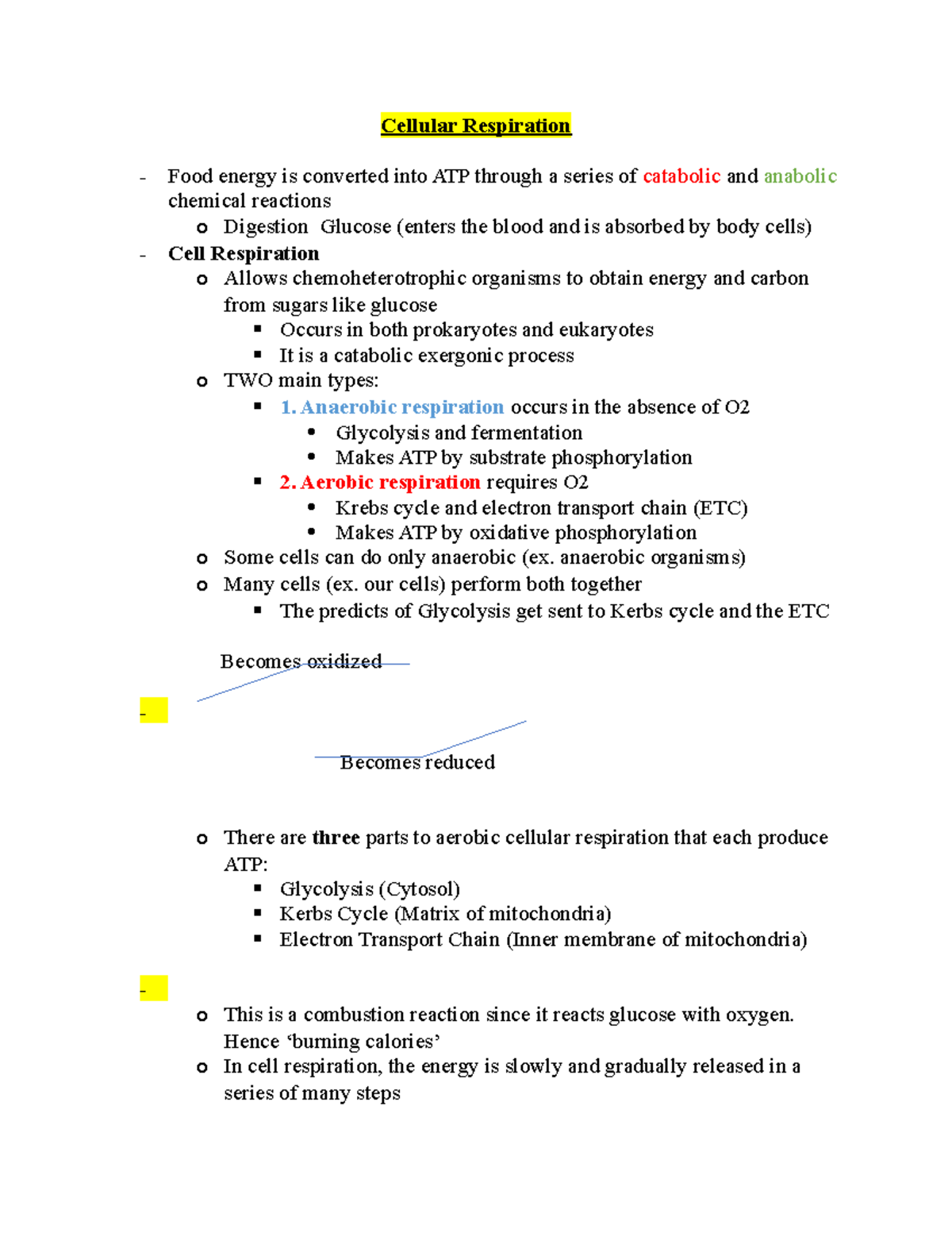 Cellular Respiration Notes - Cellular Respiration Food energy is ...