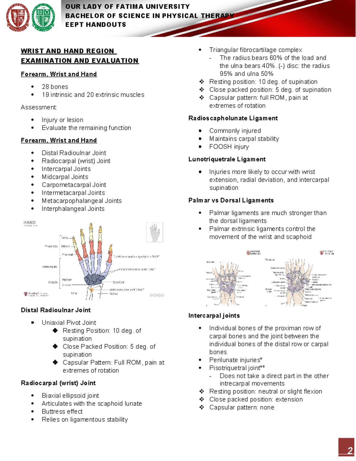 EEPT - Wrist, HAND AND Forearm - WRIST AND HAND REGION EXAMINATION AND ...