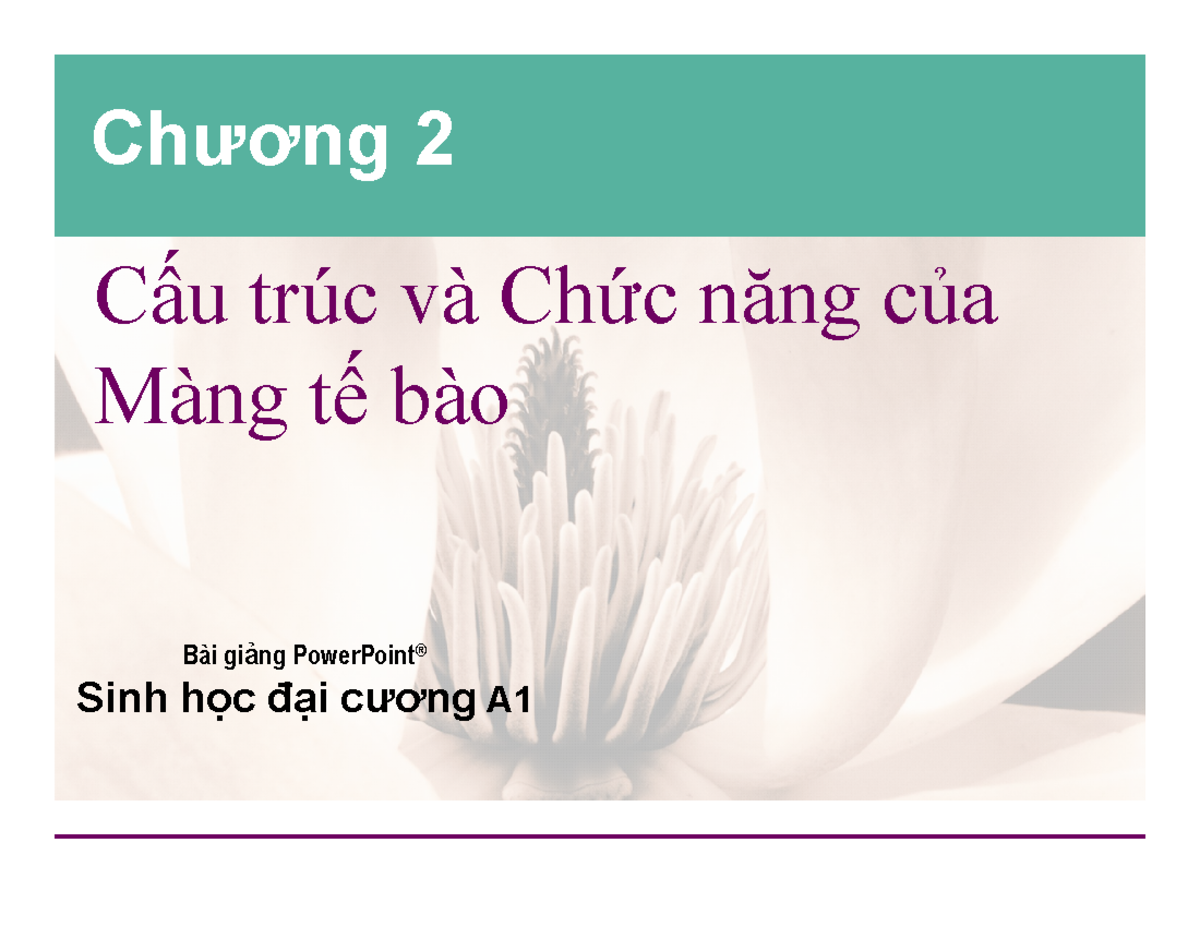 Chuong 2. Cau truc va chuc nang Mang TB 2019 [Compatibility Mode] - Bài giảng PowerPoint® Sinh ...