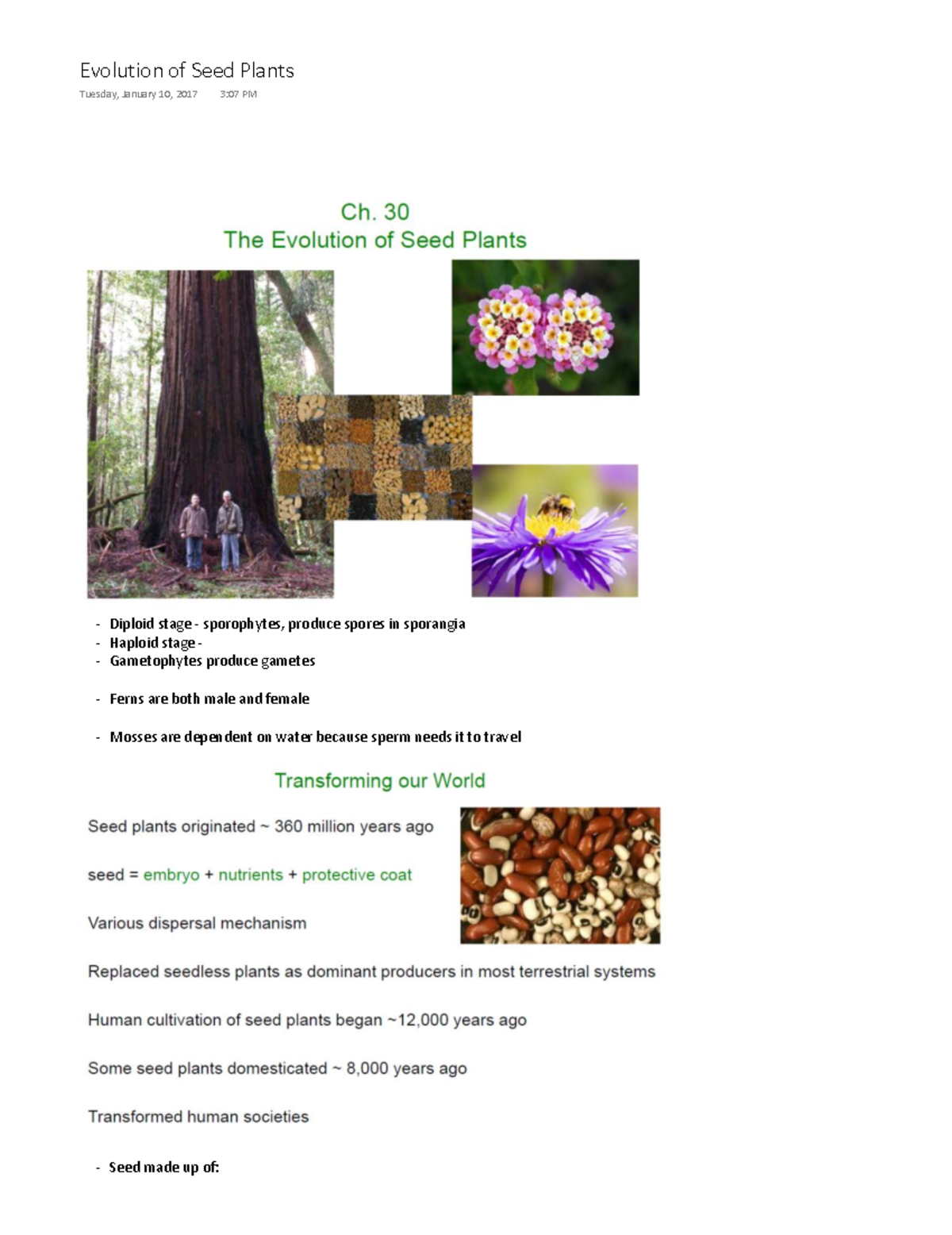 BIOL 1108 - Evolution of Seed Plants - Warning: TT: undefined function: 32 Diploid stage - - Studocu