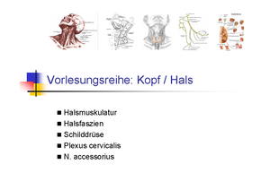 Atemmechanik -0, kPa Grund für negativen Druck: o Lunge besitzt gewisse ...