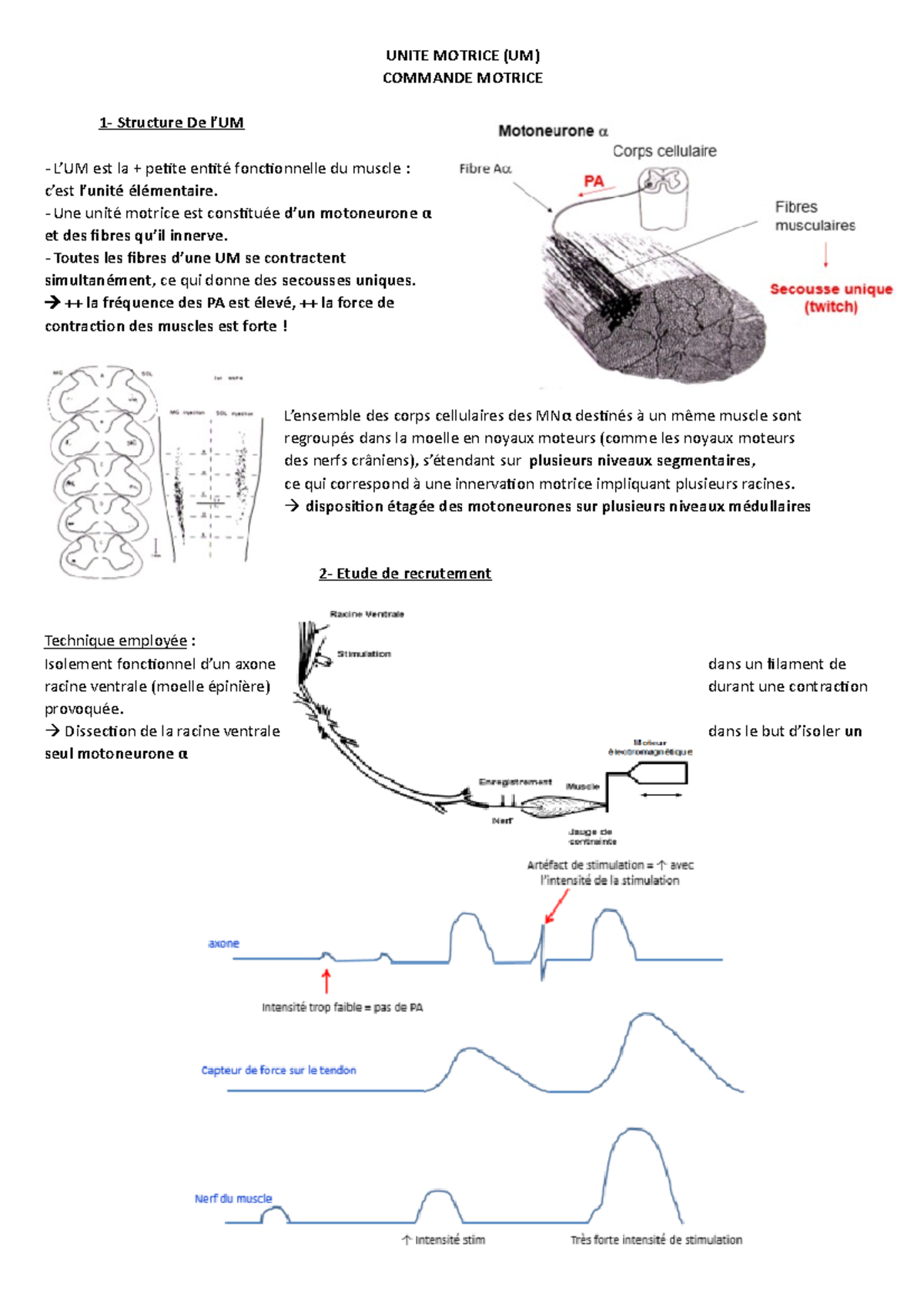 Unite Motrice - UNITE MOTRICE (UM) COMMANDE MOTRICE 1- Structure De l ...