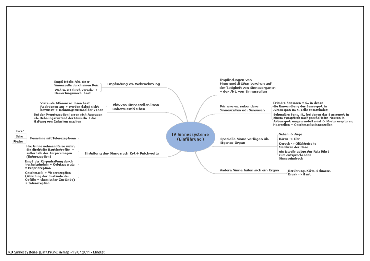 Zusammenfassung - Sinnessysteme Mindmap - - Studocu