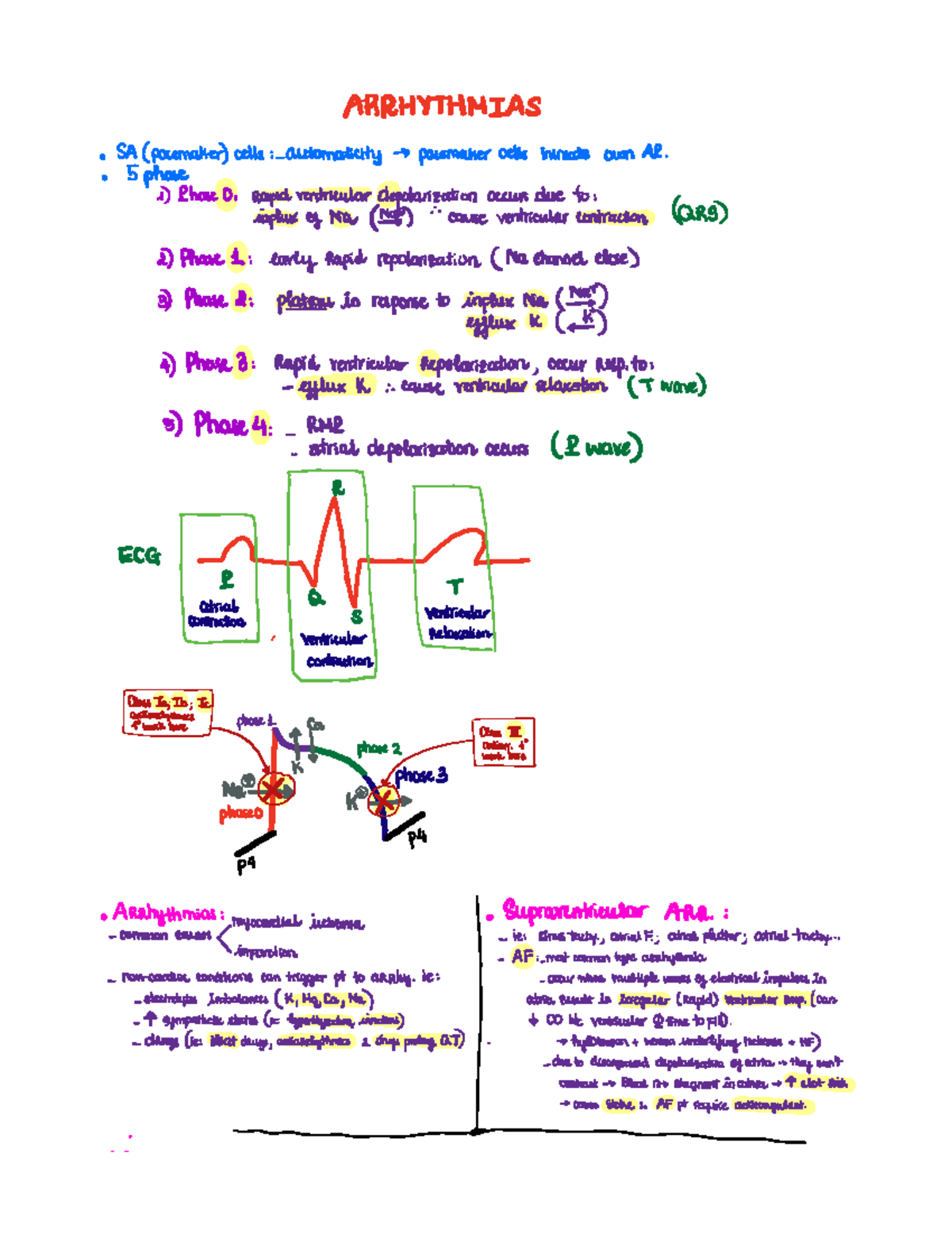 Arrhythmias study guide - ARRHYTHMIAS SA pacemaker cells automaticity pacemakercells ininiate ...