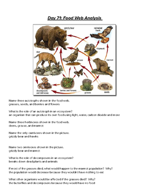 Food Web For Kids With Names
