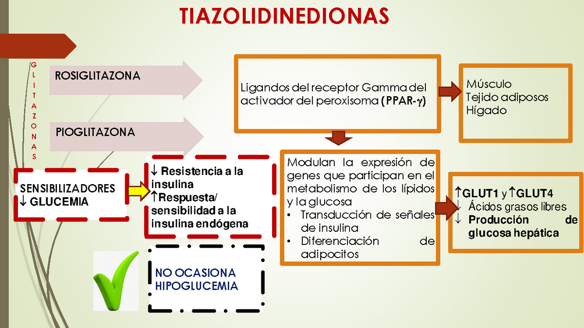 Tiazolidinedionas Tiazolidinedionas G L I T A Z O N A S Rosiglitazona