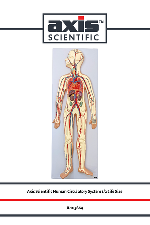Visible Body Respiratory System EBook - Let’s take a look! The ...