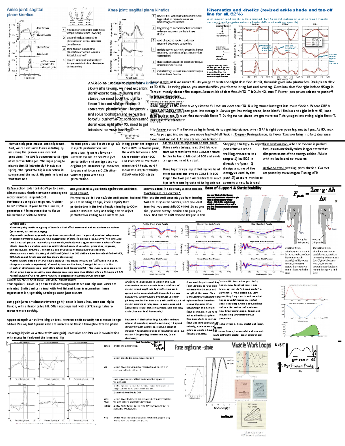 BPK 201 pratice Sheet - Example of data in clinical gait analysis report for bilateral spastic ...