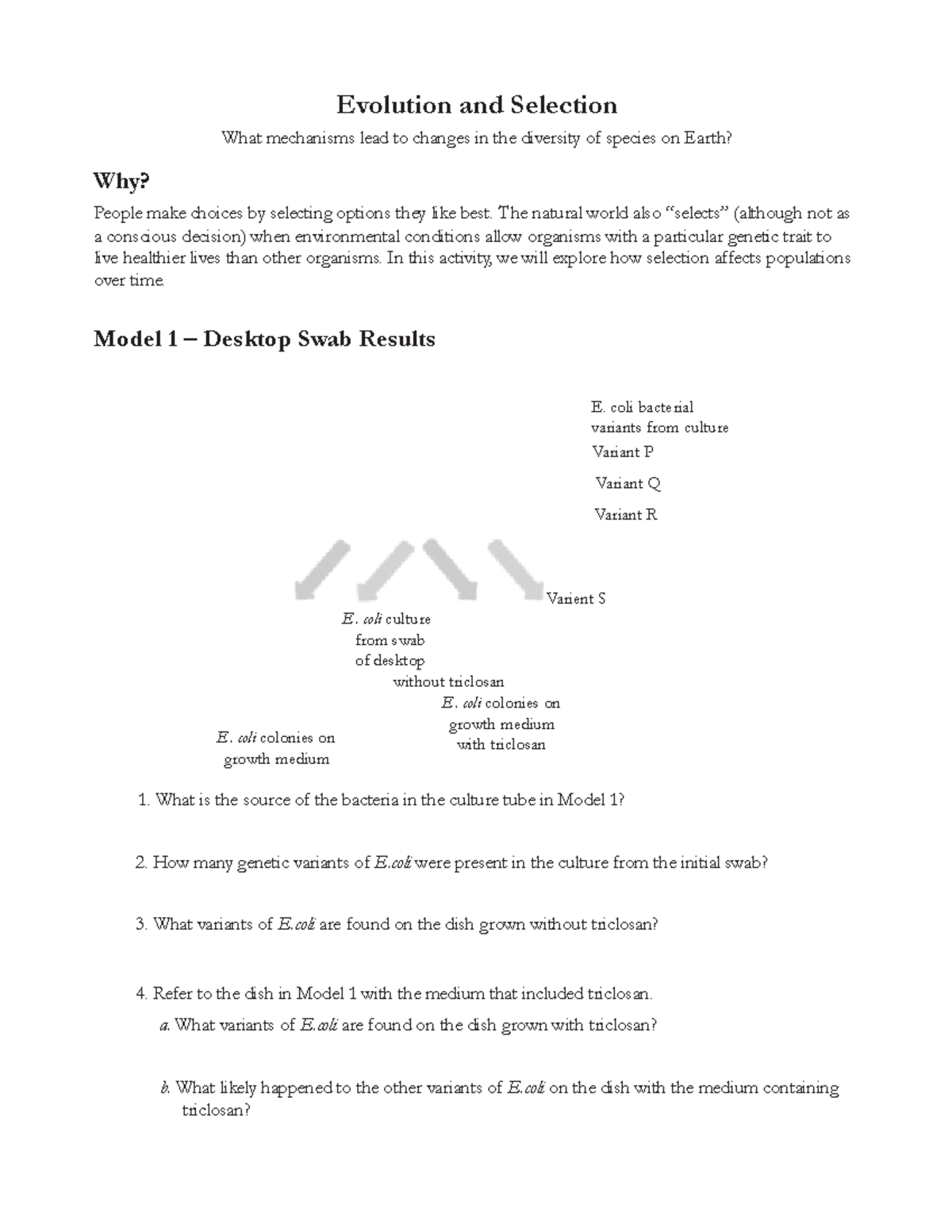 8- Pogil Evolution and Selection-S - Evolution and Selection What ...