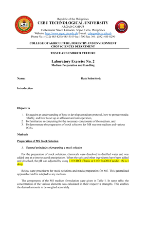 Scientific Names of Common Plants - Pineapple Ananus sativus Radish ...