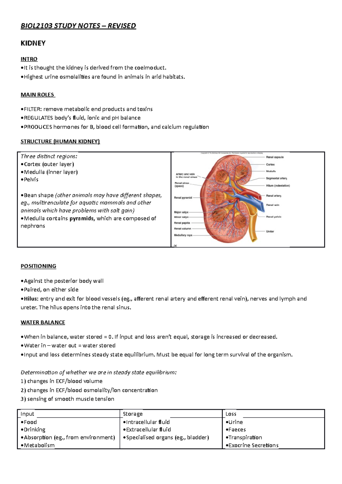 Lecture notes - Human Physiology - complete - professor Paul Cooper ...