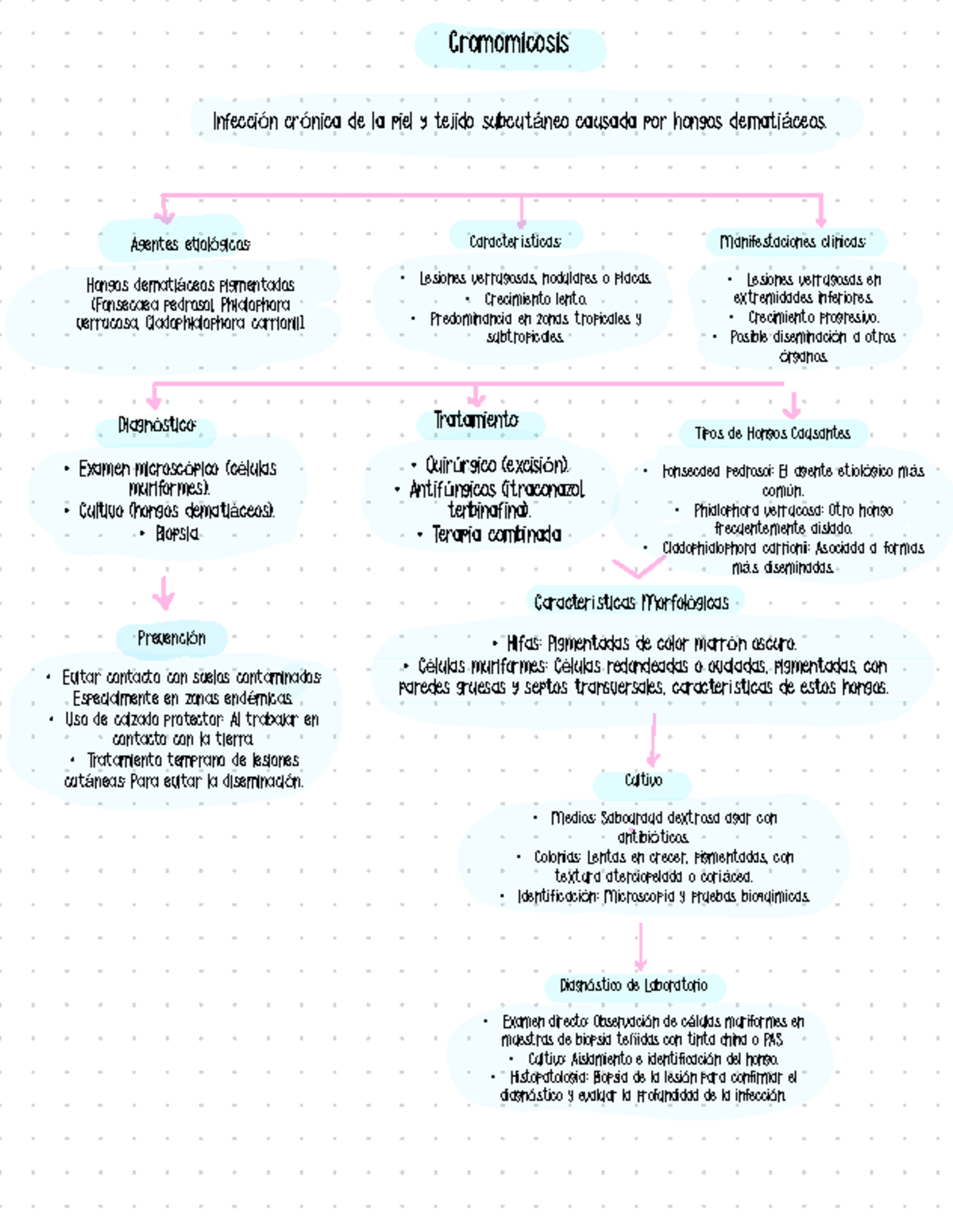Cromomicosis - Cromomicosis Infección crónica de la piel y tejido ...