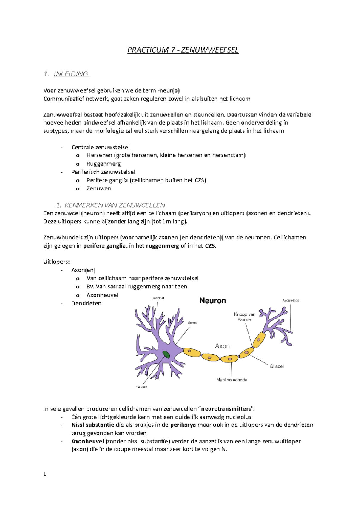 Practicum 7 - Zenuwweefsel - PRACTICUM 7 - ZENUWWEEFSEL 1. INLEIDING ...