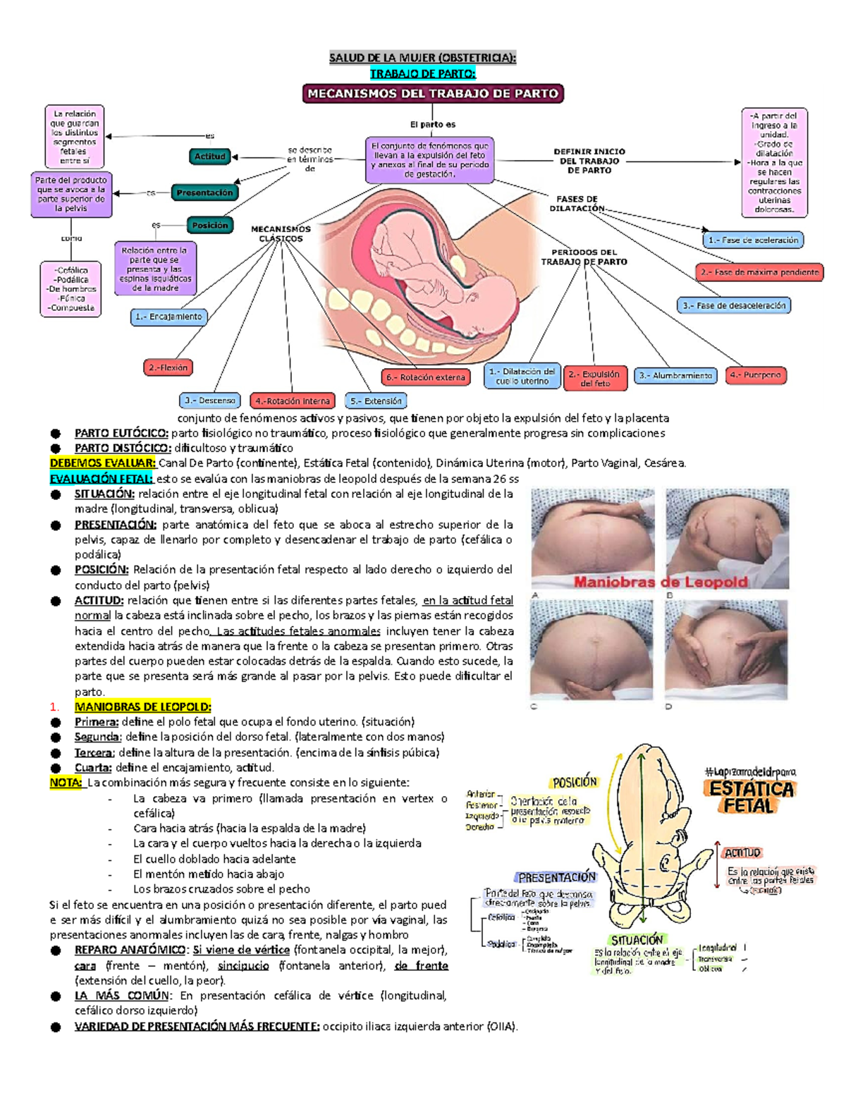 Trabajo DE Parto - SALUD DE LA MUJER (OBSTETRICIA): TRABAJO DE PARTO ...