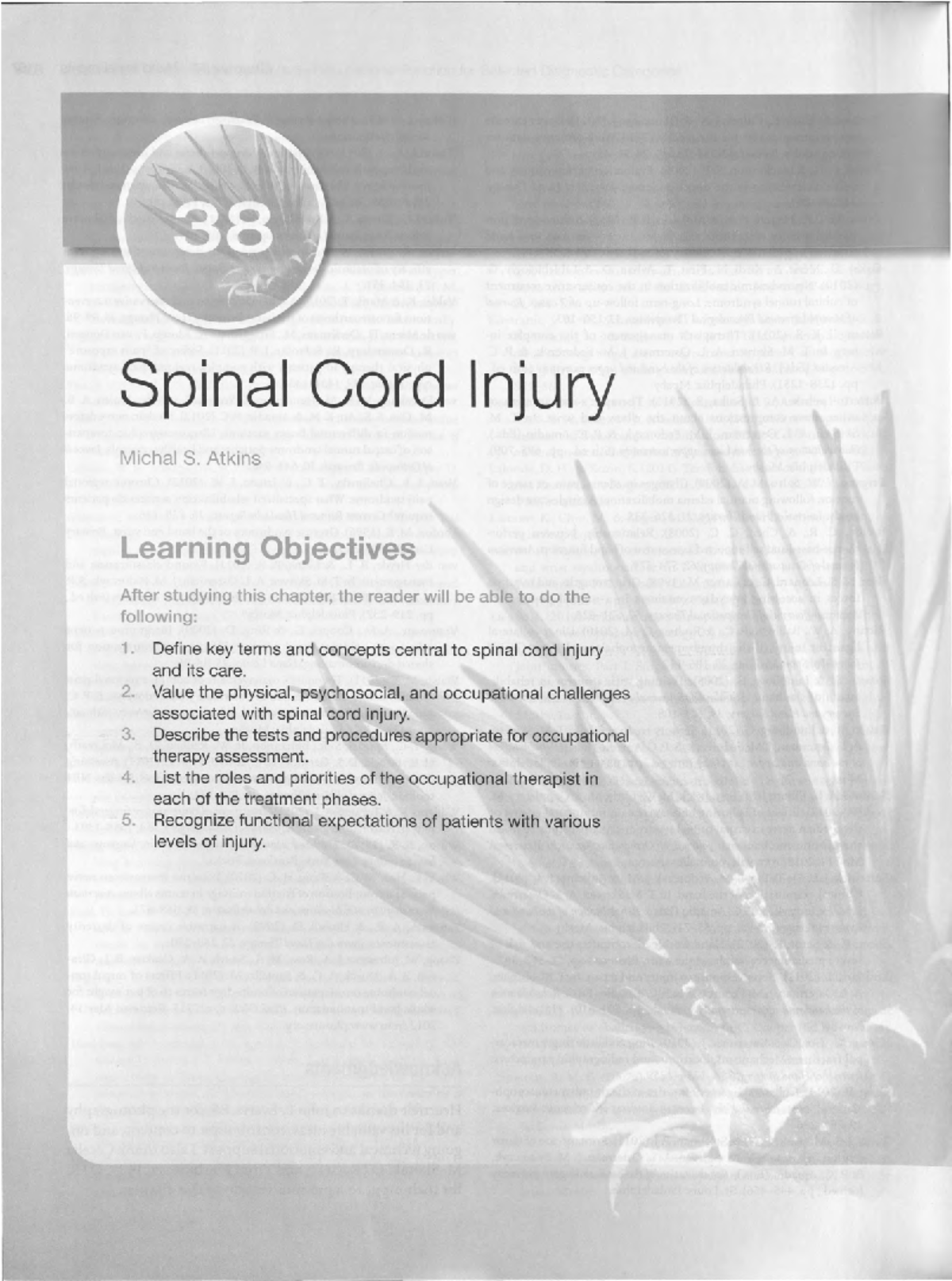 Atkins-m-Spinal Cord Injury - Spinal Cord Injury Michal S. Atkins ...