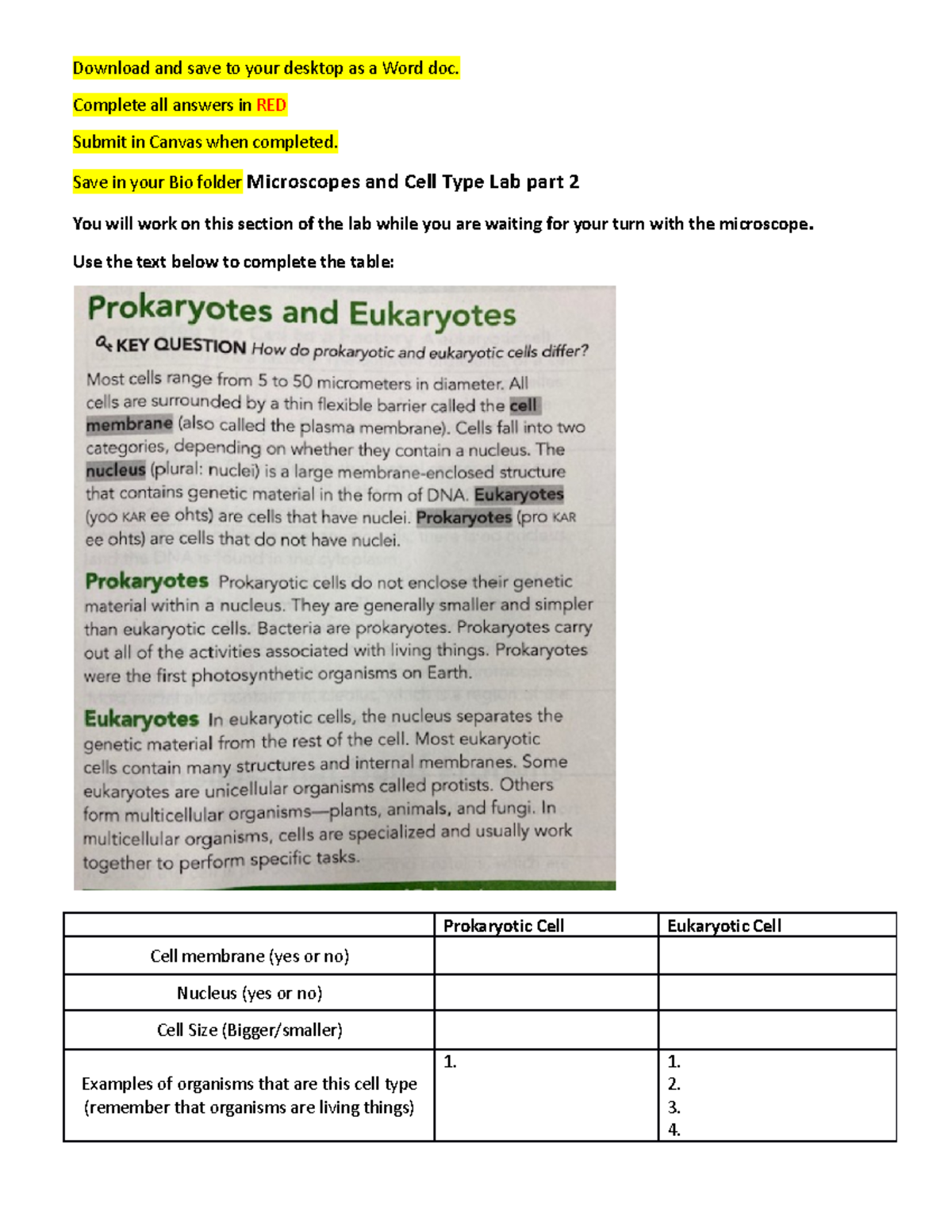 Microscope Lab pt 2 - Download and save to your desktop as a Word doc ...