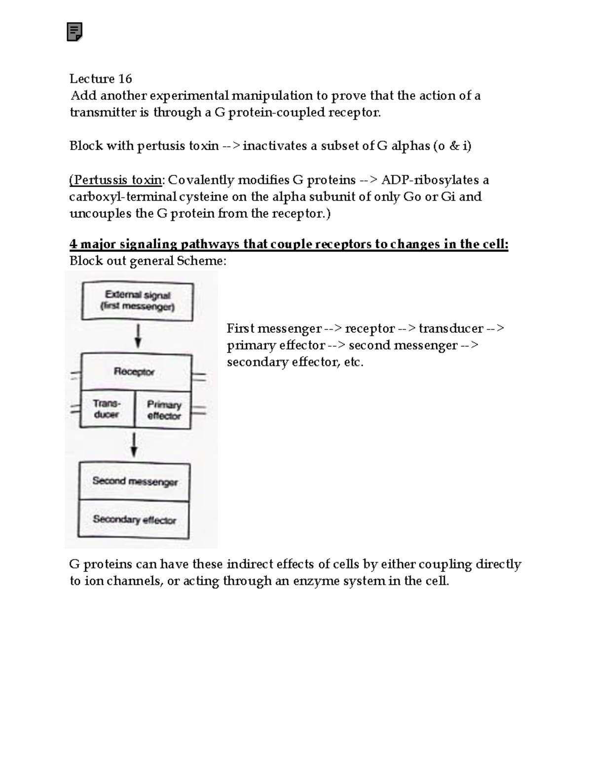 Syn Trans Lecture 16 Neuro Lecture 16 Add Another Experimental Manipulation To Prove That