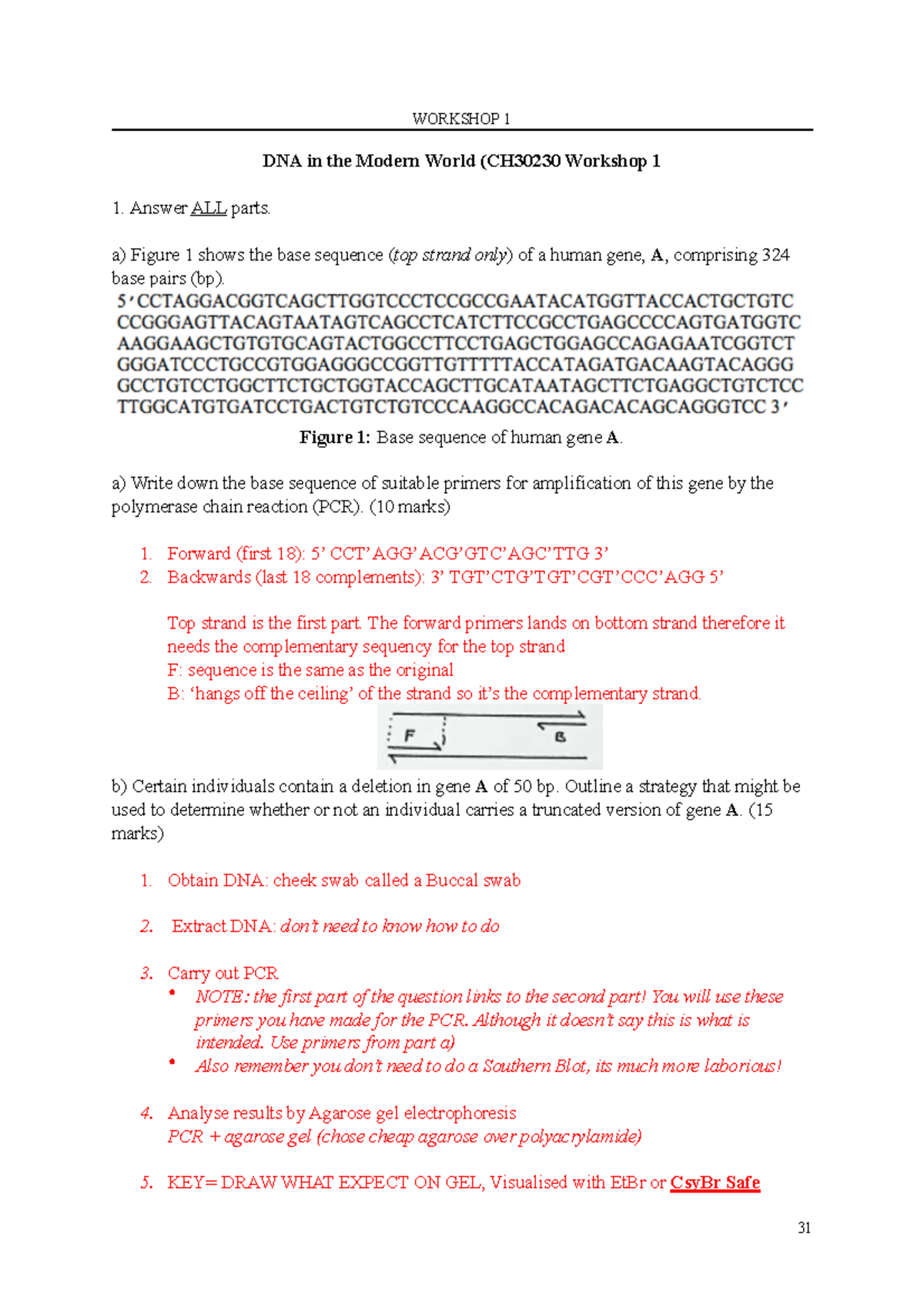 Workshop questions and answers - WORKSHOP 1 DNA in the Modern World ...