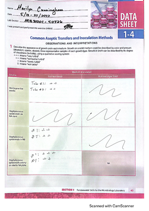 MCB Lab Manual 36 - lab 3.6 gram stain - procedure and lab data filled ...