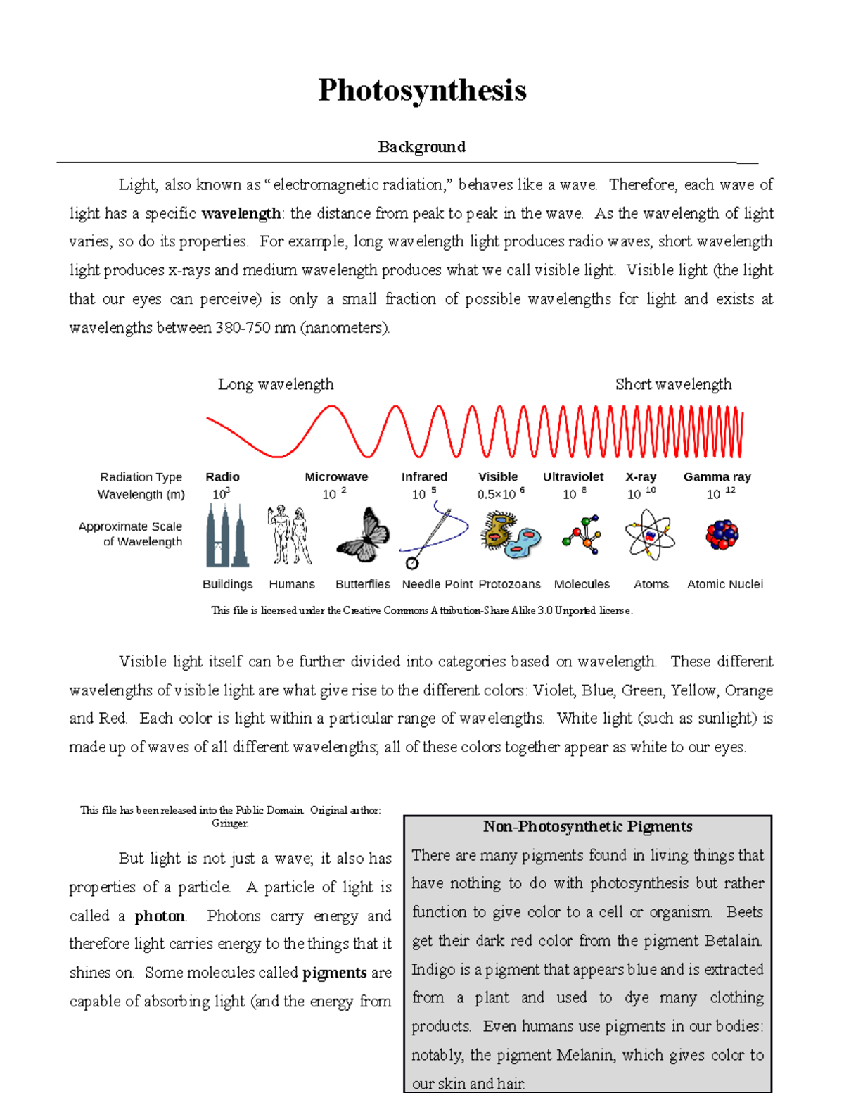 Backg Pre-Lab Lab Assig Photosynthesis - Photosynthesis Background ...