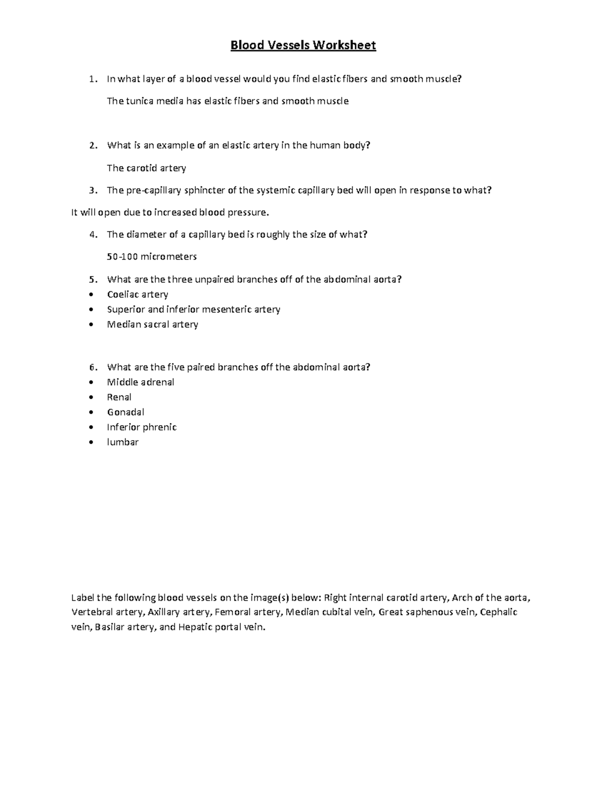 BIOS255 - Blood Vessels Worksheet - In what layer of a blood vessel ...