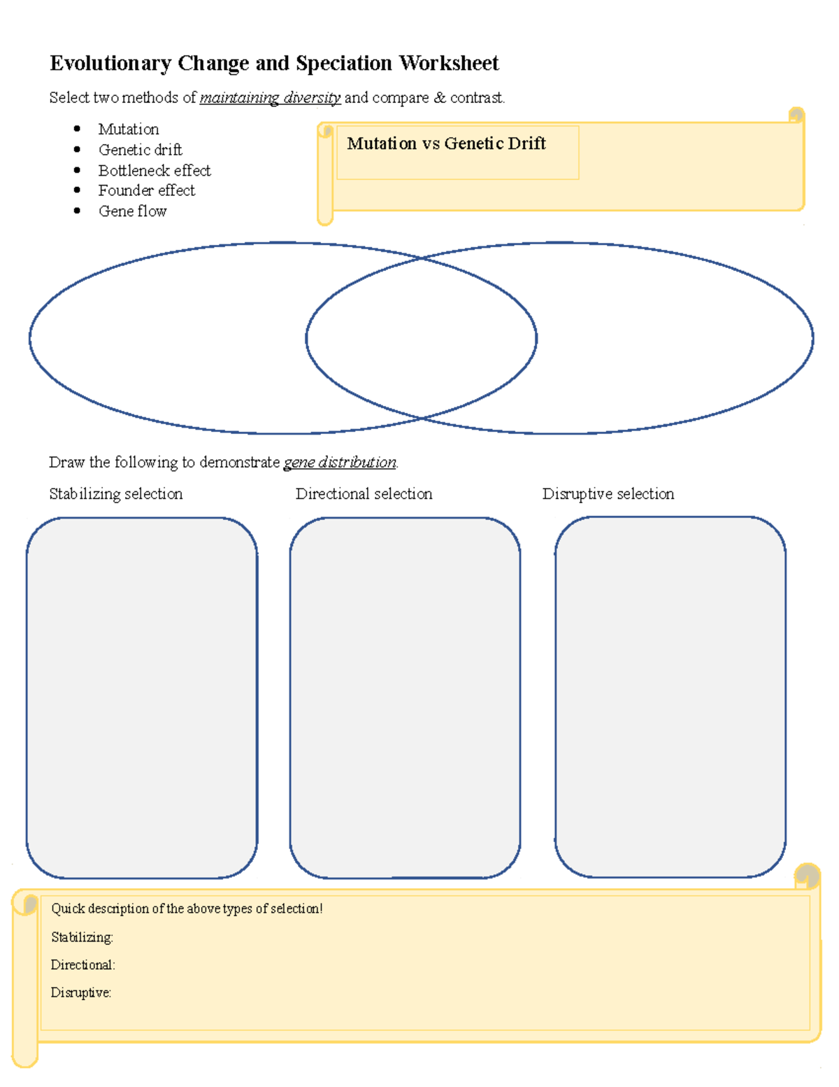 Evolutionary Change and Speciation Worksheet - Mutation Genetic drift ...