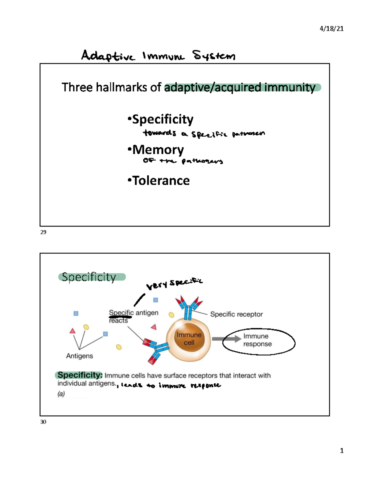 Module 13 - Three hallmarks of adaptive/acquired immunity • Specificity ...