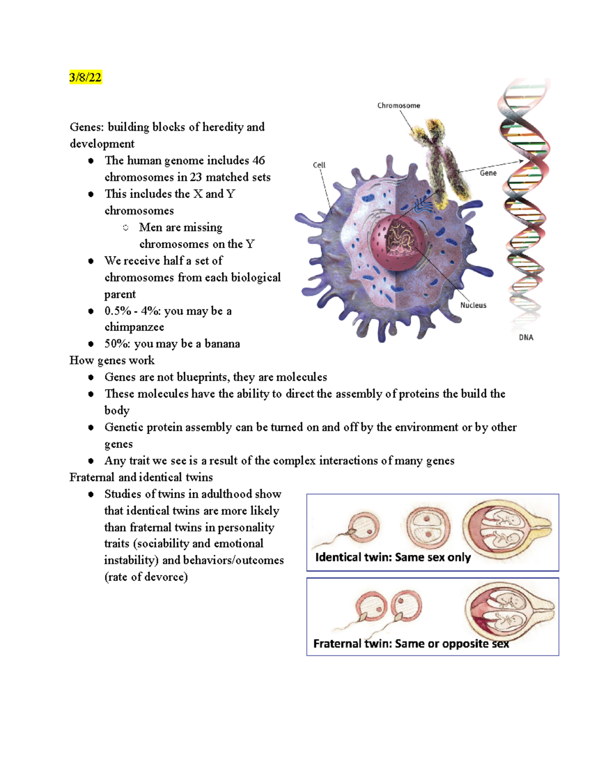 Ch. 4 In Class Notes (Nature vs. Nurture) - 3/8/ Genes: building blocks ...