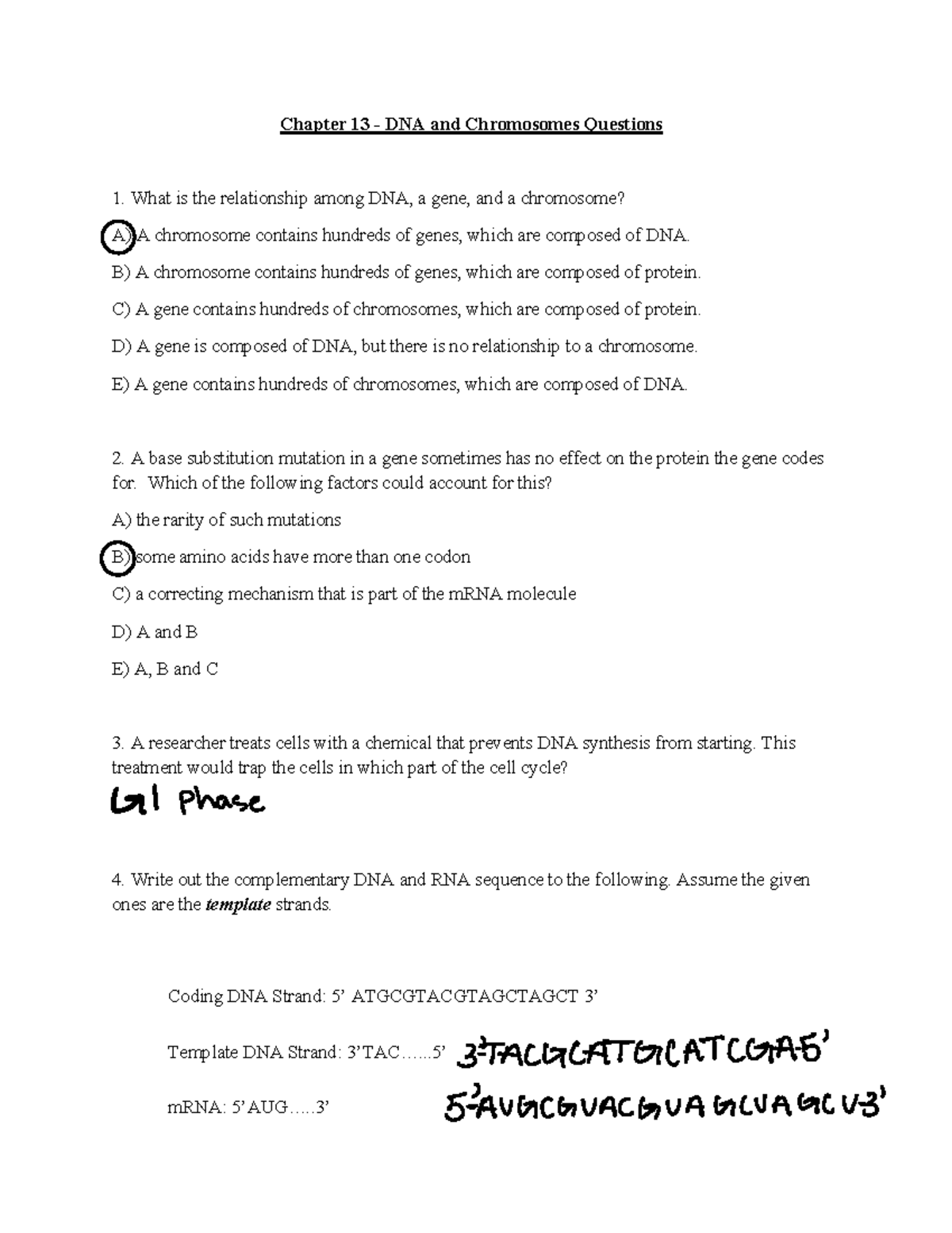 Exam 2 Review completed - Chapter 13 - DNA and Chromosomes Questions 1 ...