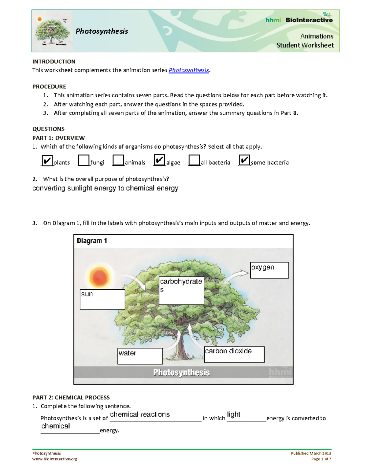 Photosynthesis-Student WS-animation - Photosynthesis Published March ...