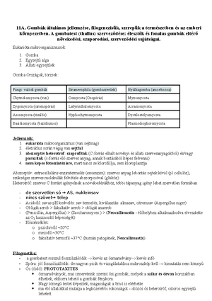 Gombák általános jellemzése - 2. 1. a az emberi A gombatest (thallus ...