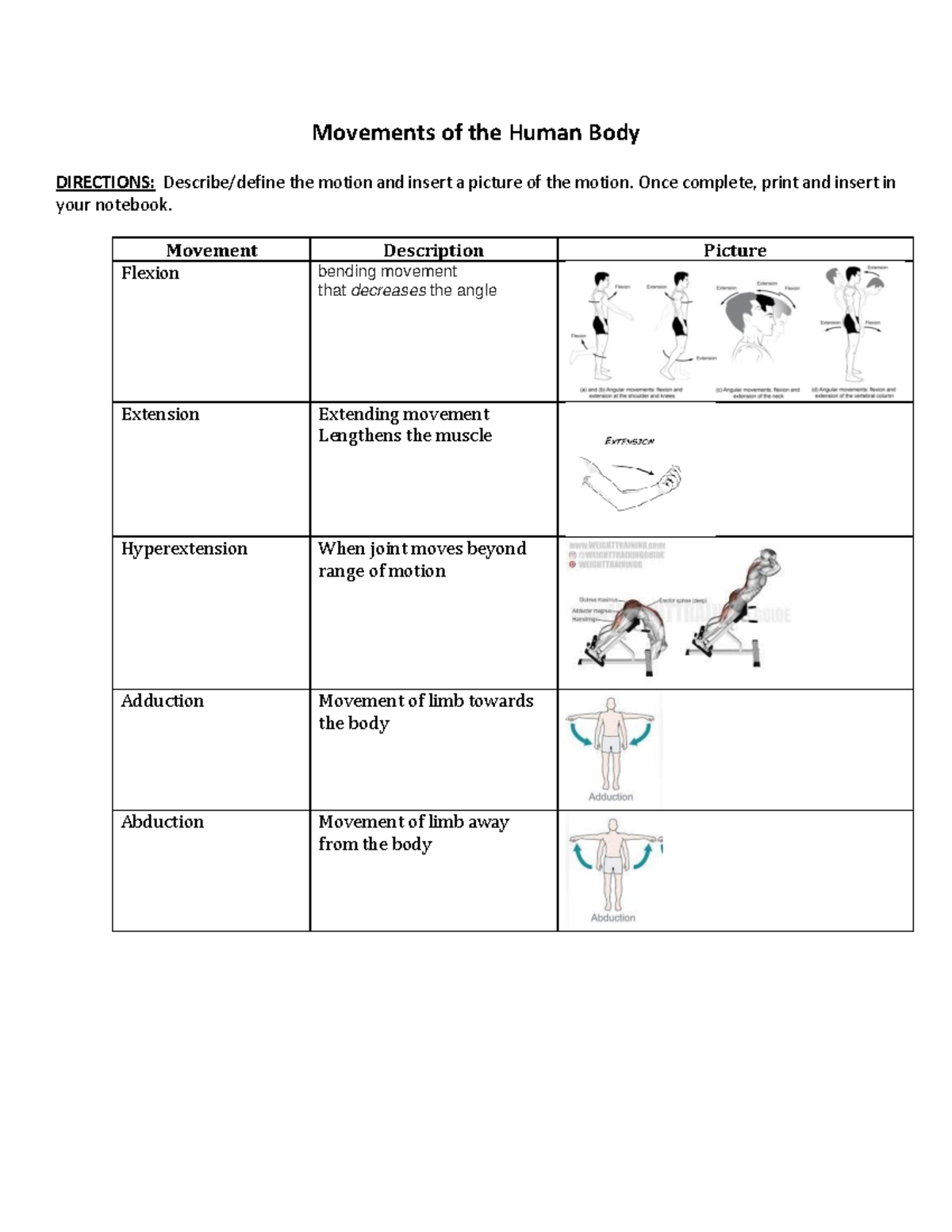Muscle movements - Movements of the Human Body DIRECTIONS: Describe ...