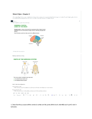 Week 4 Quiz Chapter 4 - Quiz - 19 12:55 Out of 20 points Time for this ...