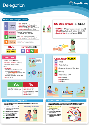 Bedside Assessment & Documentation Basics: A Pocket Card for Beginning ...