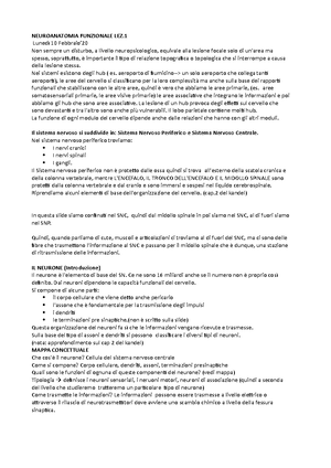 Basal Ganglia Anatomy & Function Direct atf - BASAL GANGLIA ANATOMY ...