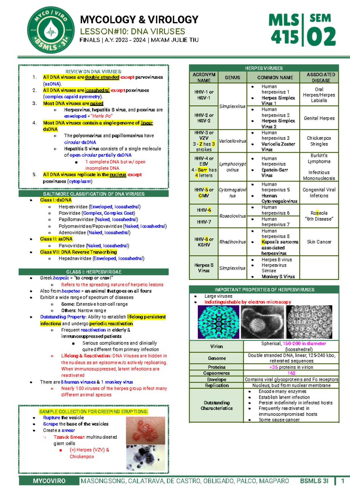 3I Mycoviro L10 DNA Viruses - MYCOLOGY & VIROLOGY LESSON# 10 : DNA ...