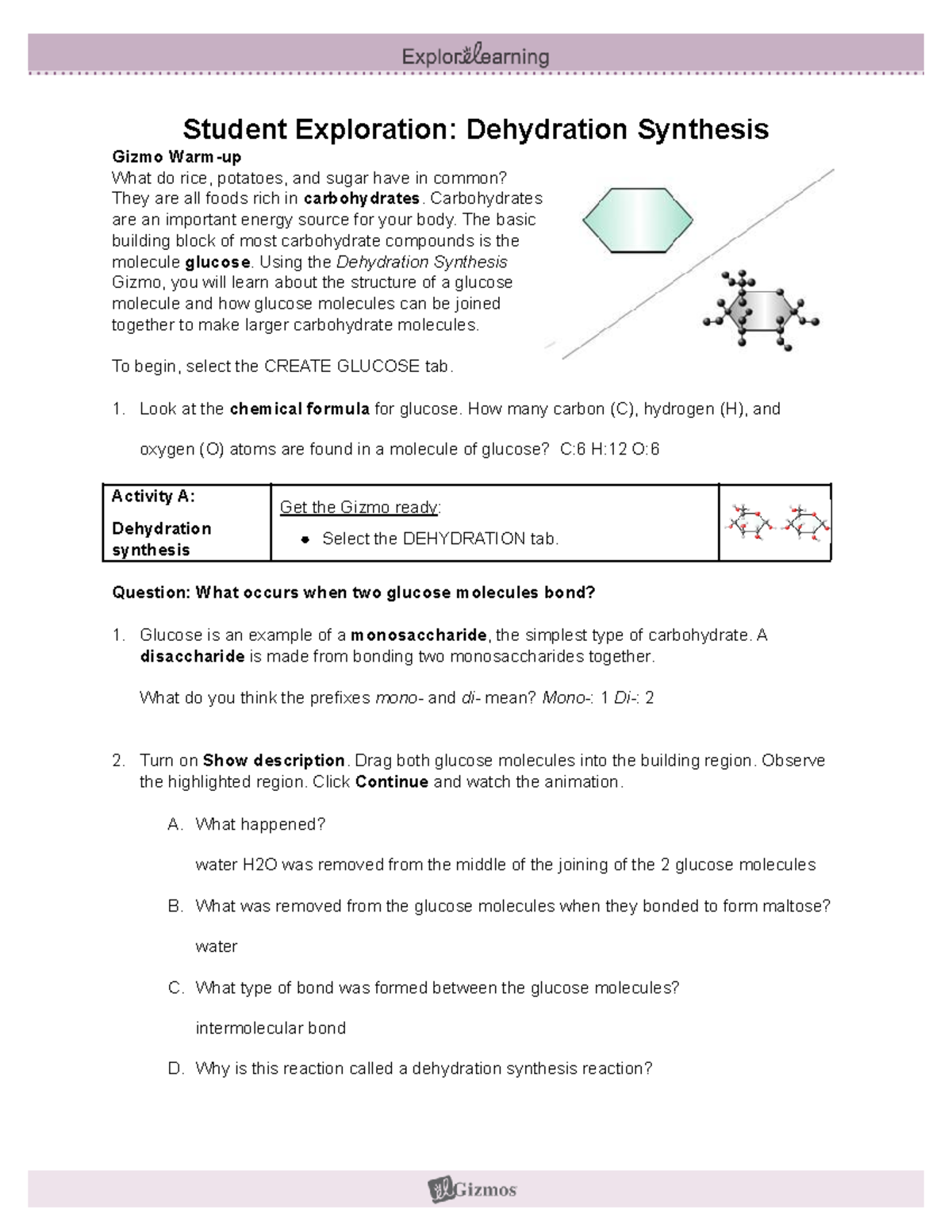 Gizmo Lab - Dehydration Synthesis Student Version - Student Exploration ...