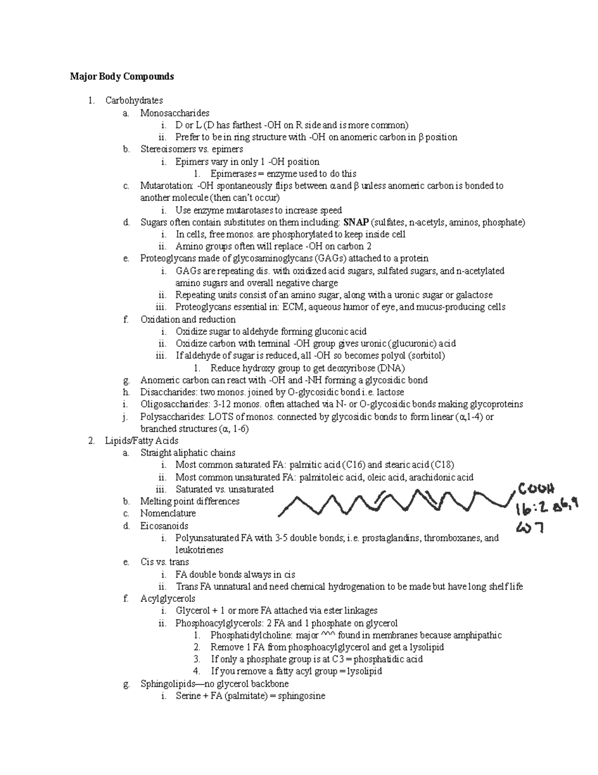 Major Body Compounds Study Guide - Major Body Compounds Carbohydrates a ...
