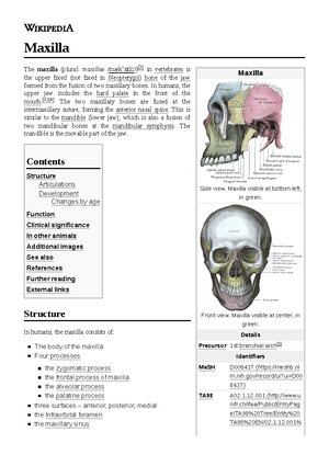 Pterion - nth - Pterion Side view of head, showing surface relations of ...