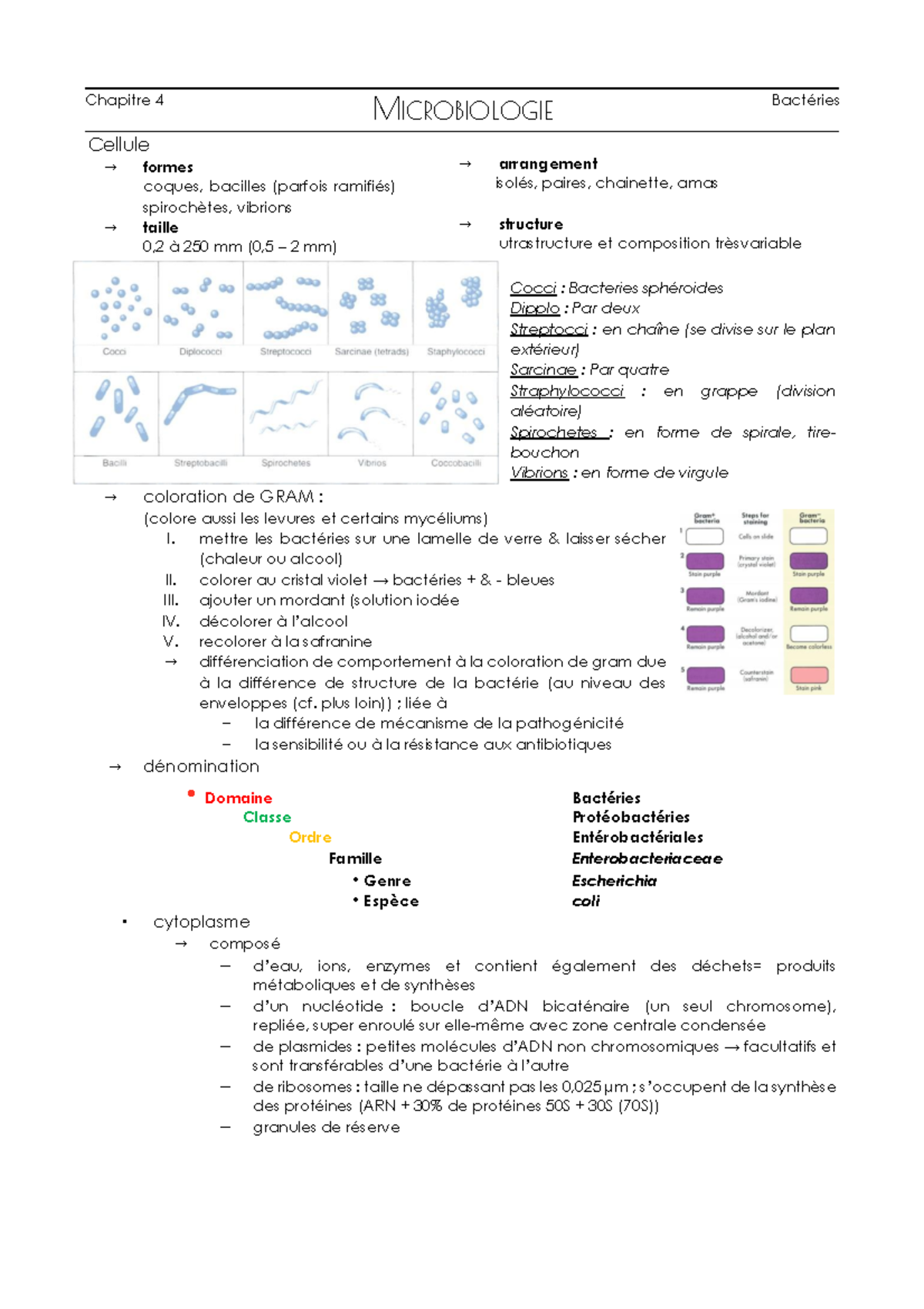 MICR0120-9 - Chapitre 4 - Bactéries - MICROBIOLOGIE Cellule → formes ...