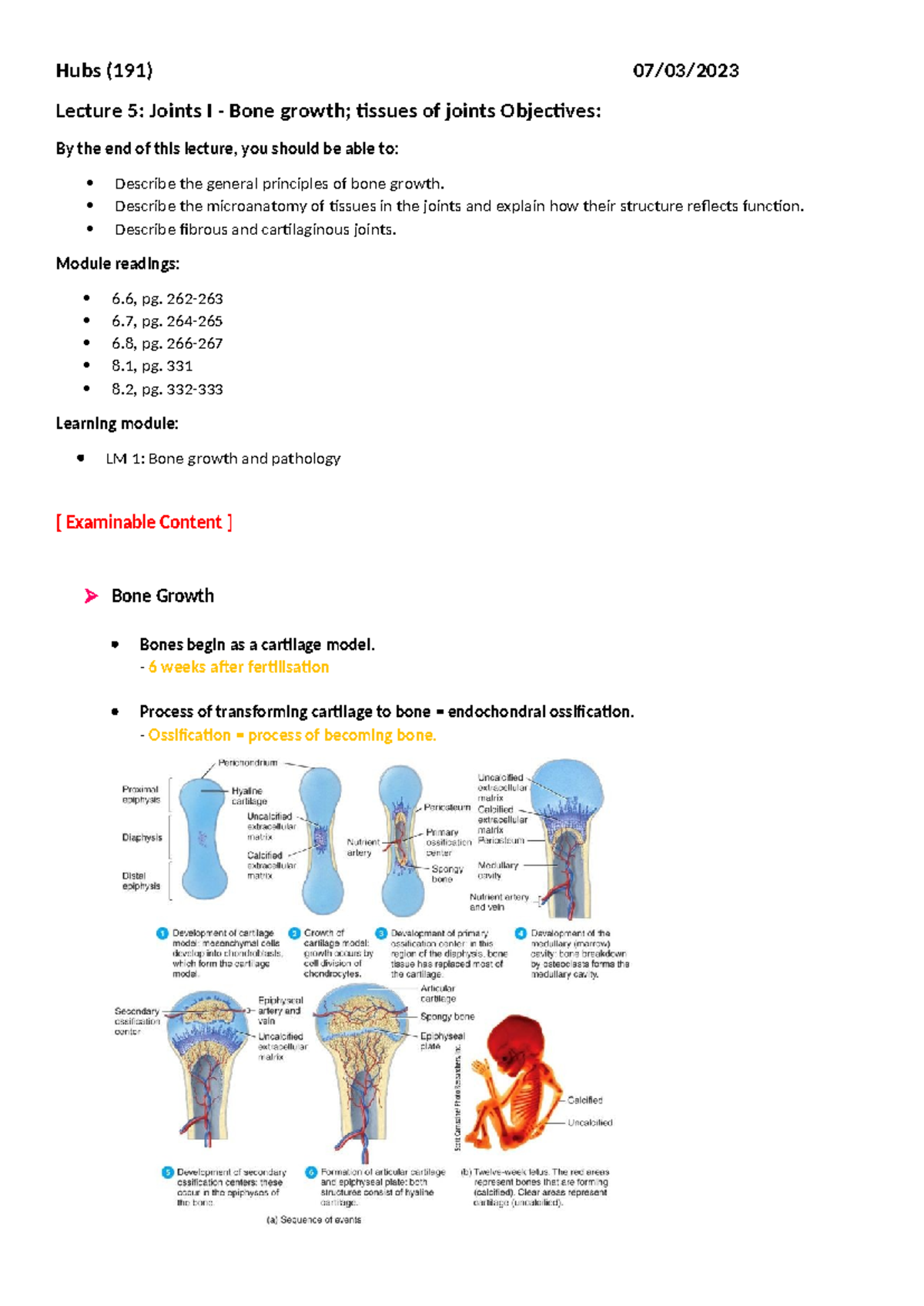 HUBS (191) Lecture 5 [Notes] - Hubs (191) 07/03/ Lecture 5: Joints I ...