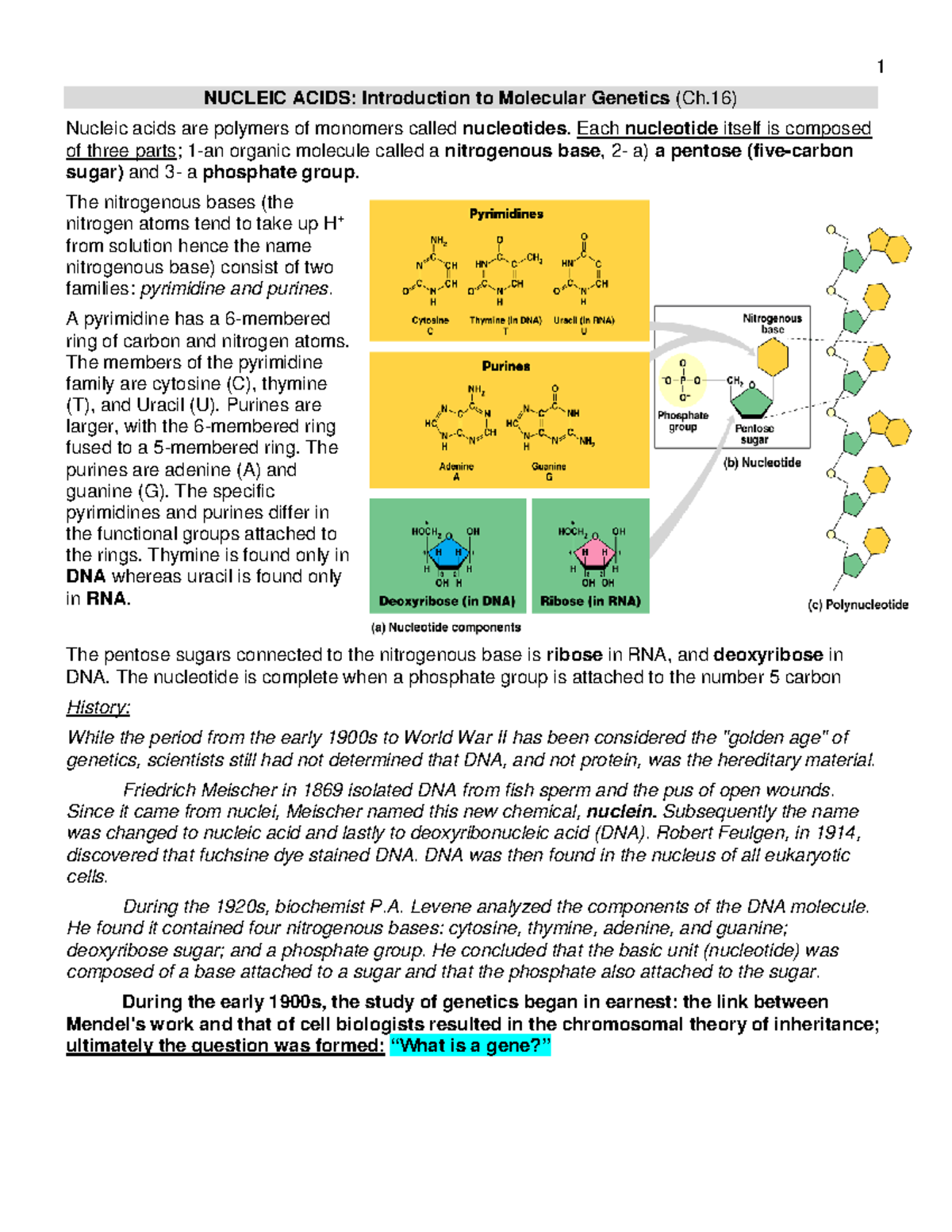 DNA History BZE Ch16 - NUCLEIC ACIDS: Introduction to Molecular ...