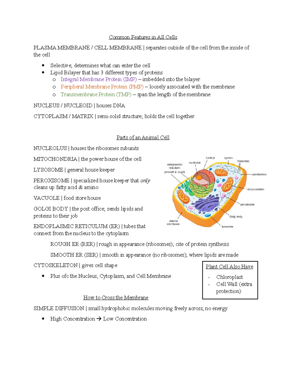 Bio NTs Parts of a Cell - Notes concerning cells - Common Features in ...
