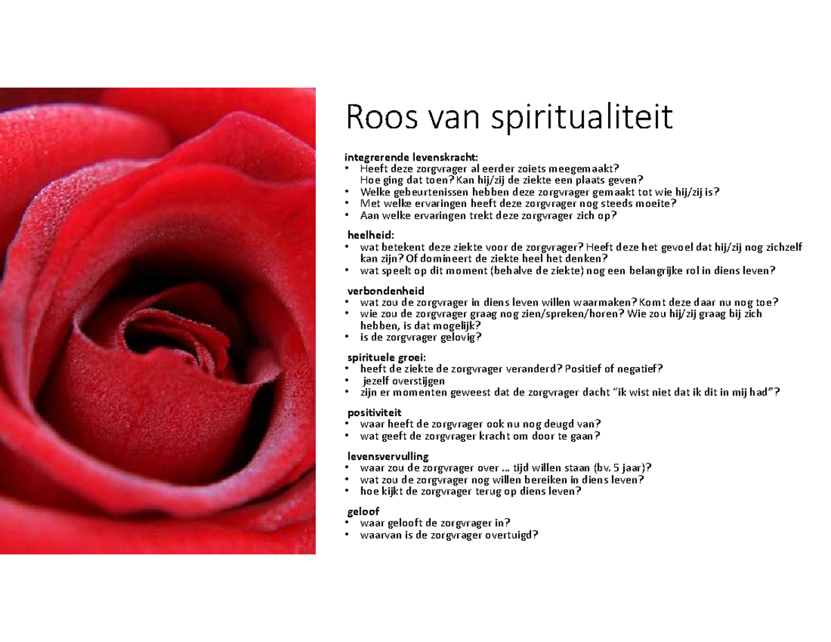 Roos Spiritualiteit met vragen VP - Roos van spiritualiteit ...