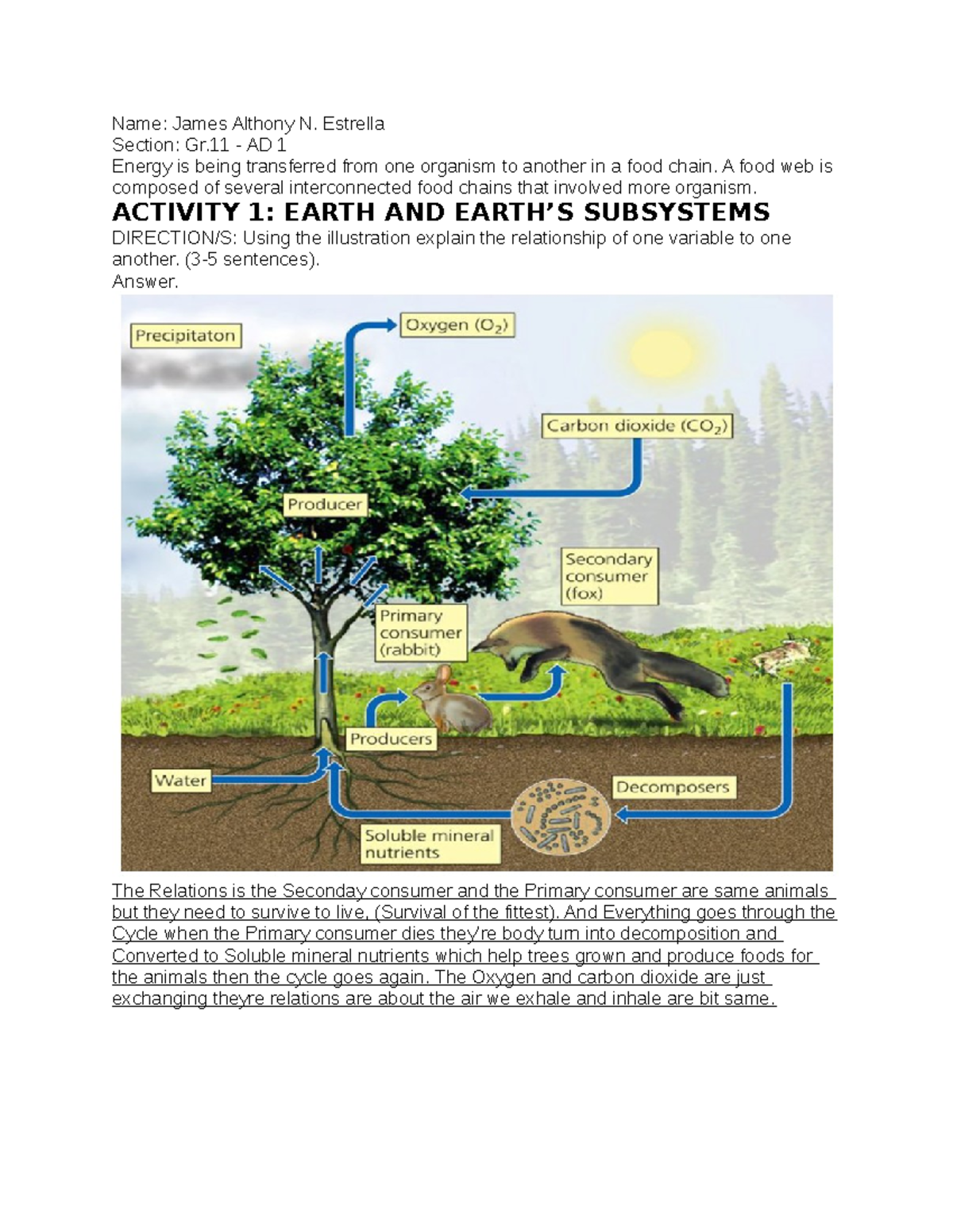Activity- Earth AND Earth’S Subsystems Answers - Name: James Althony N ...