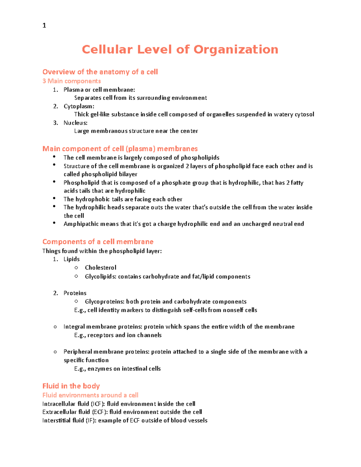 Cellular Anatomy Chart Medicine And Anatomy Quick Reference Guide