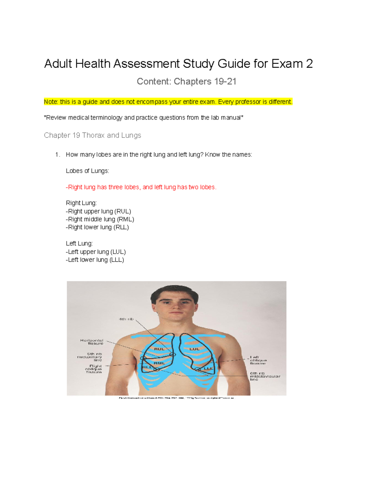 AHA Study Guide for Exam 2 - Adult Health Assessment Study Guide for ...