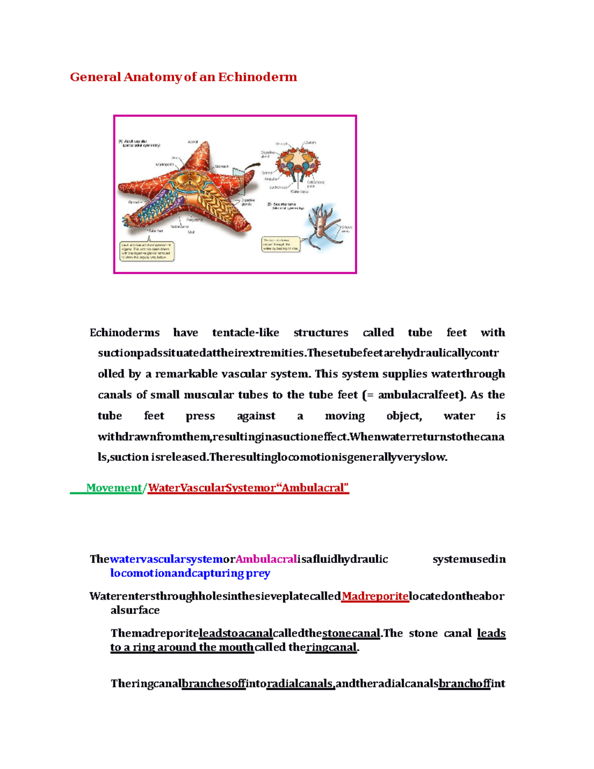 General Anatomy - This system supplies waterthrough canals of small ...