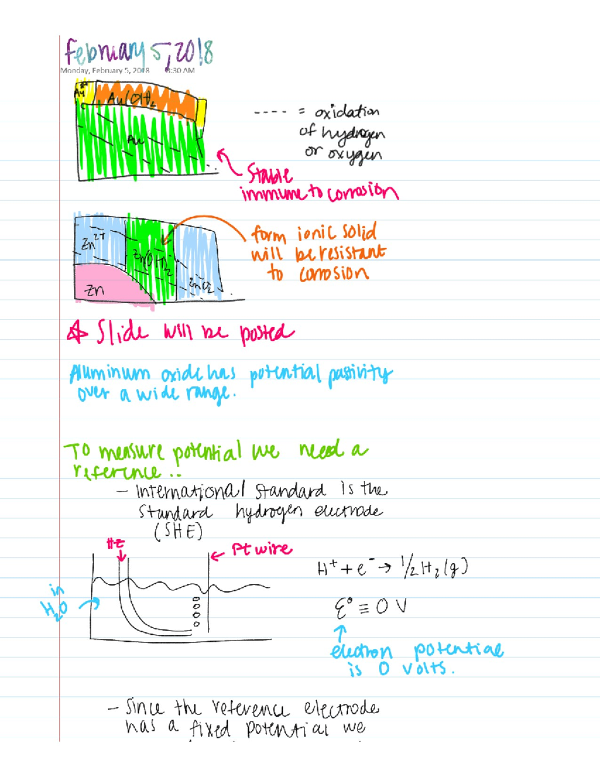 Feb 5 Notes - Professor: Dr. Taylor Ware - BMEN 4360 - Studocu